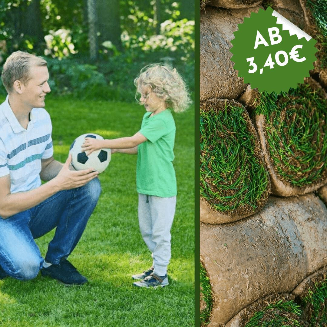Spiel Und Sport Rollrasen